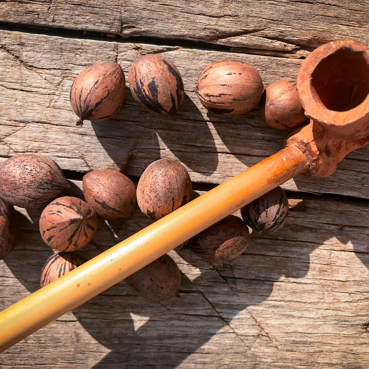 Origins of Our Name – PKN